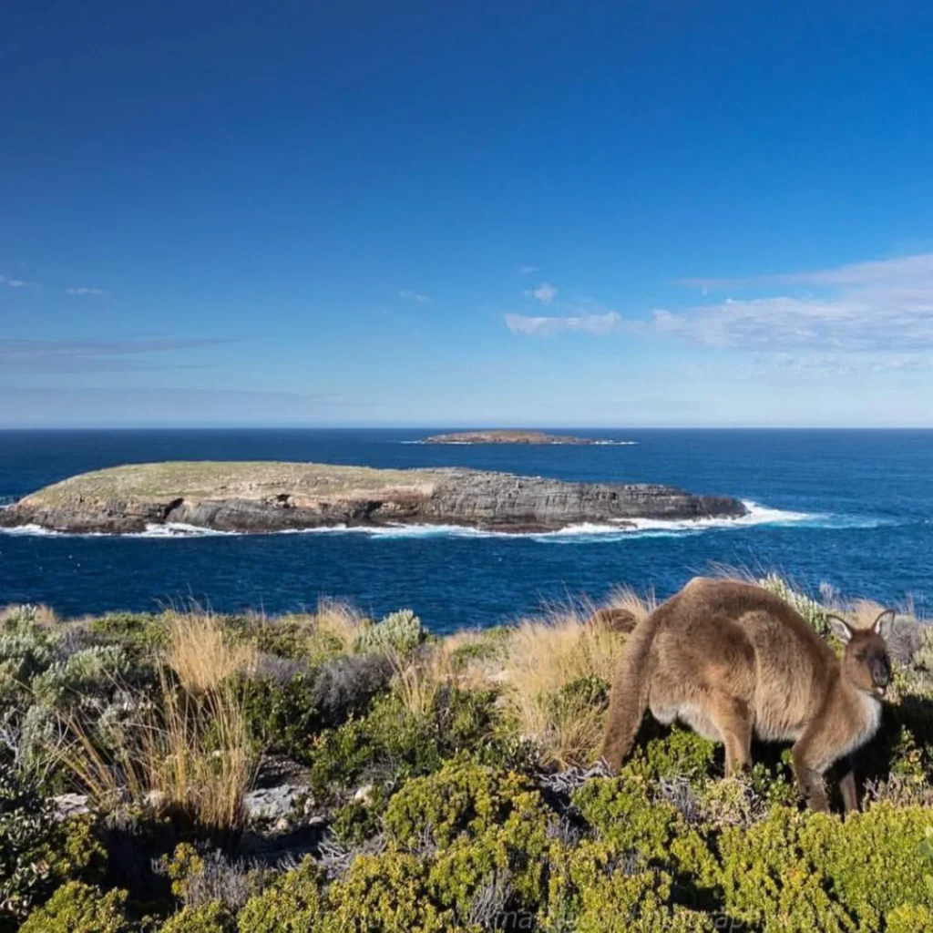 Adelaide will visit Kangaroo Island