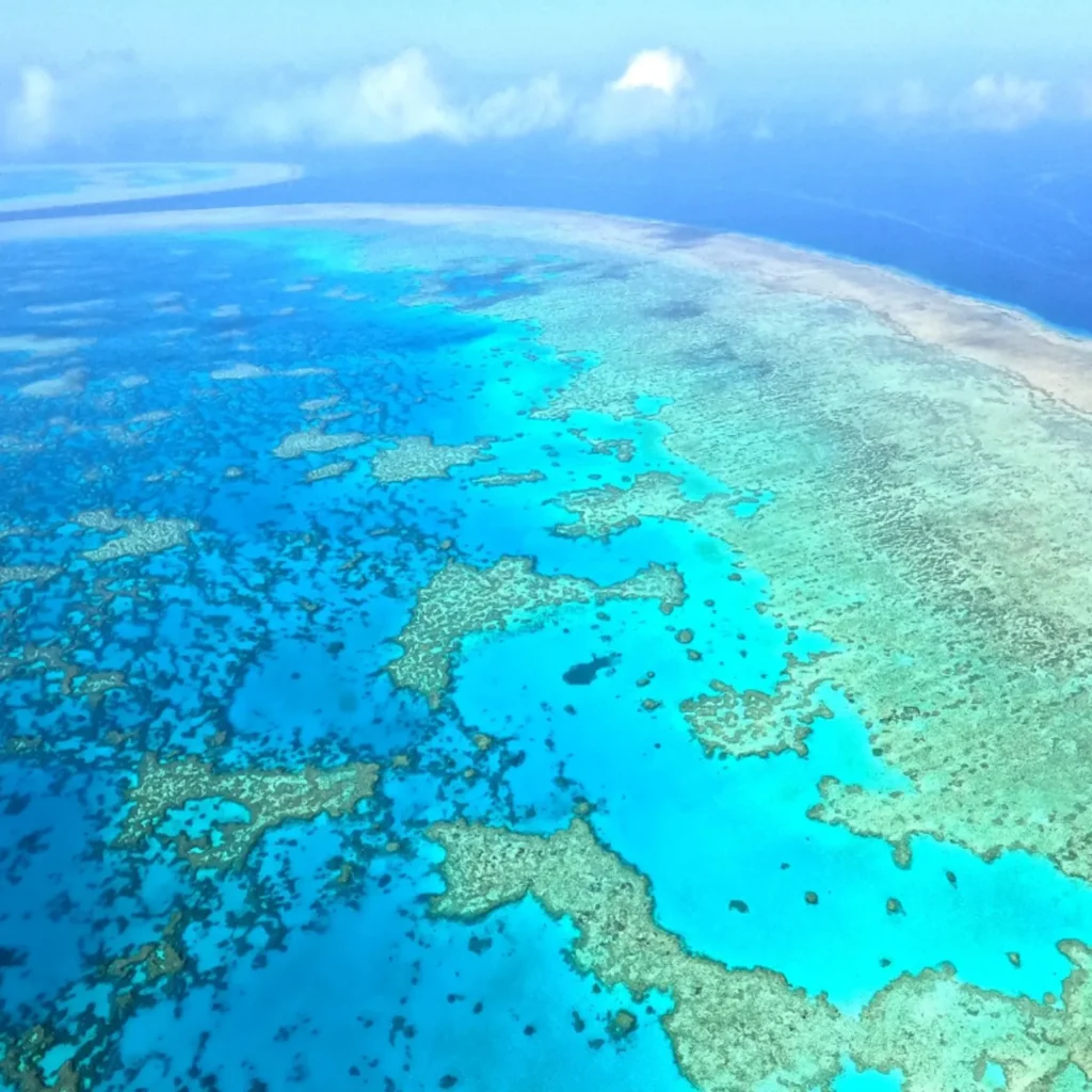 Adventures on the Great Barrier Reef